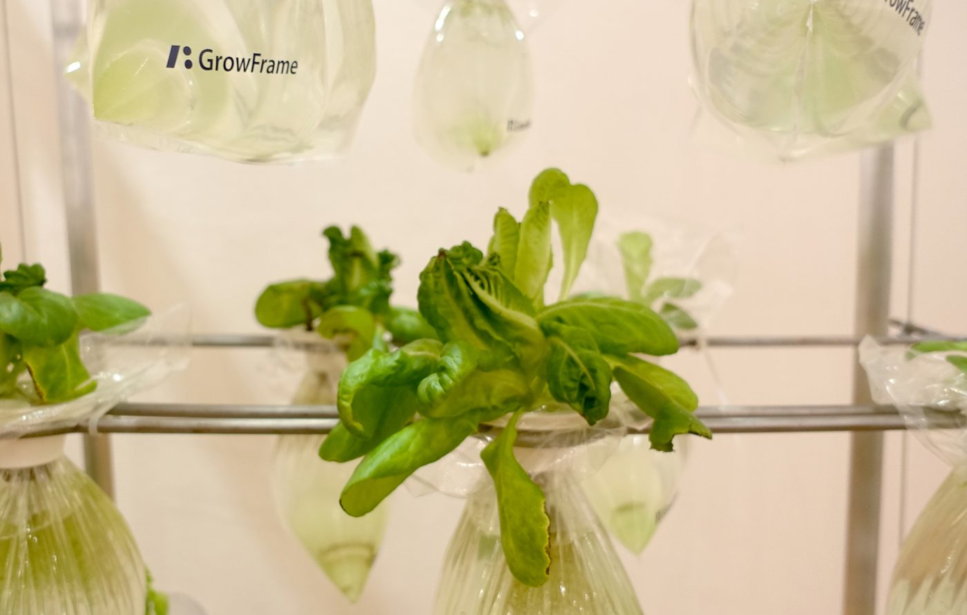 GrowFrame – Prototypes for Humanity