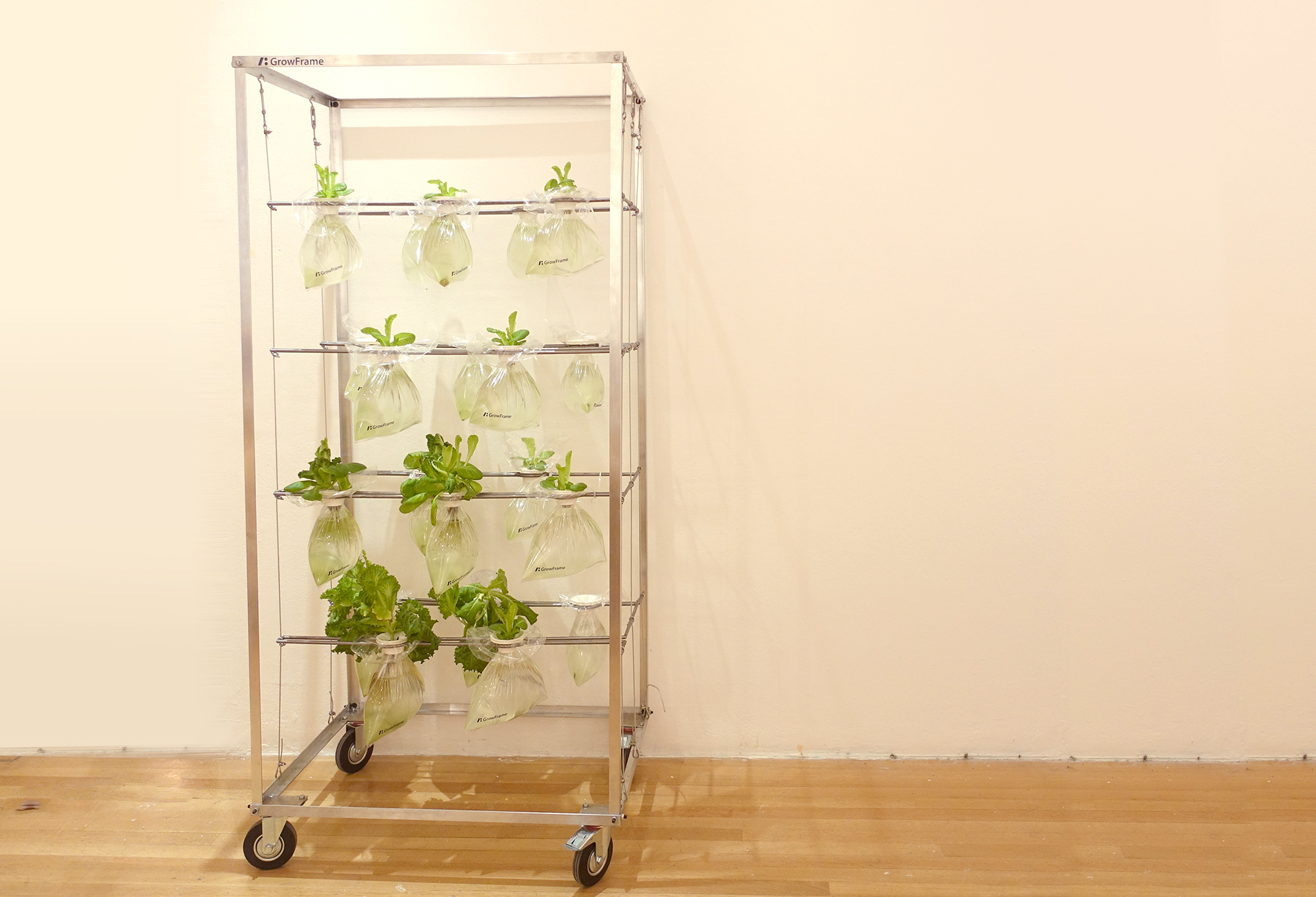 GrowFrame – Prototypes for Humanity