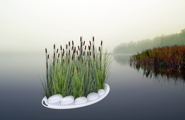 Water purification – Prototypes for Humanity