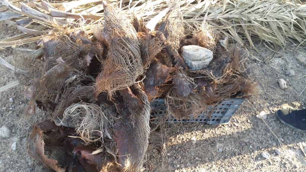 Effects of Replacing Cement by Date Palm Trees Wastes on Concrete ...