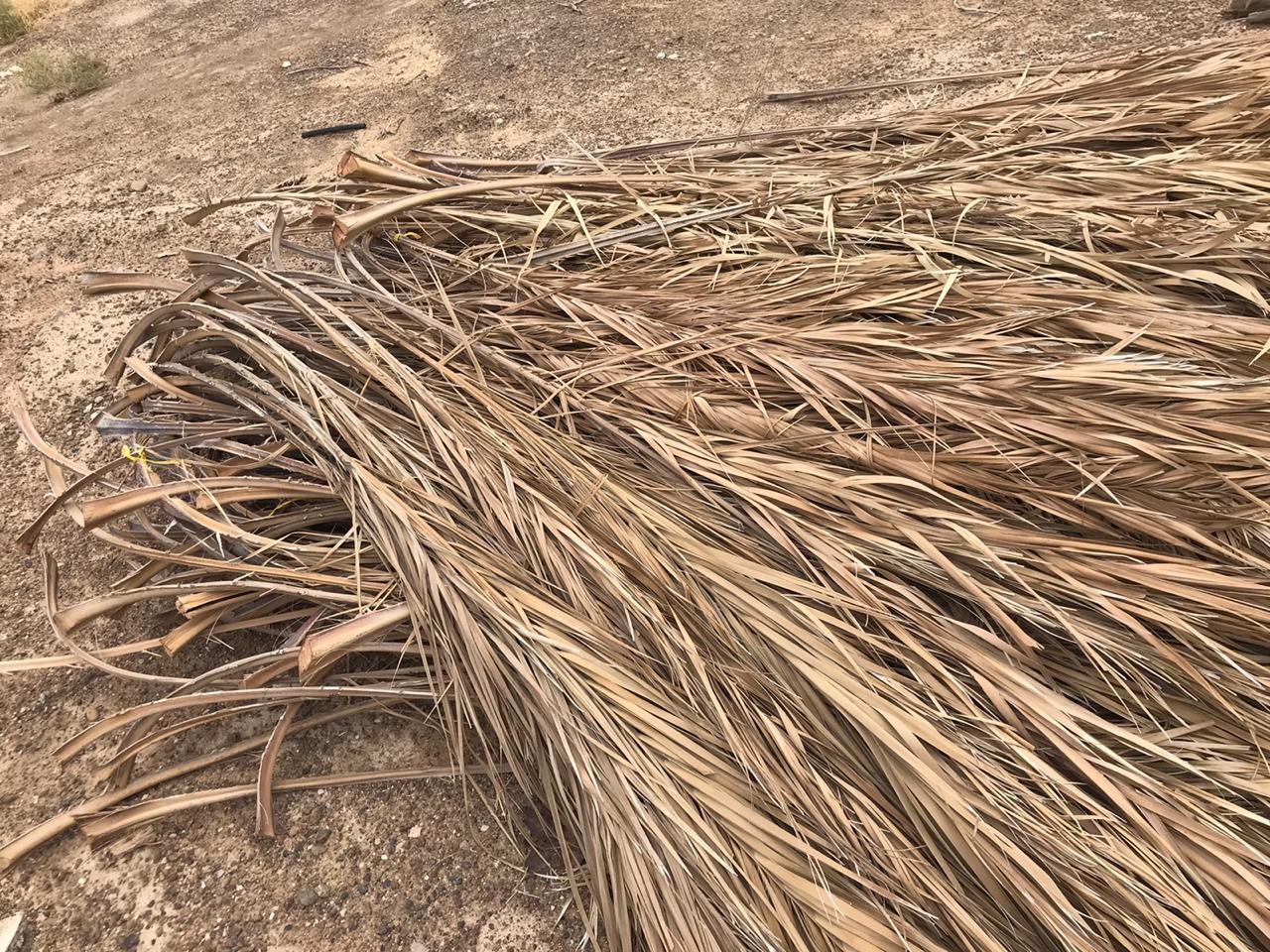 Effects of Replacing Cement by Date Palm Trees Wastes on Concrete ...