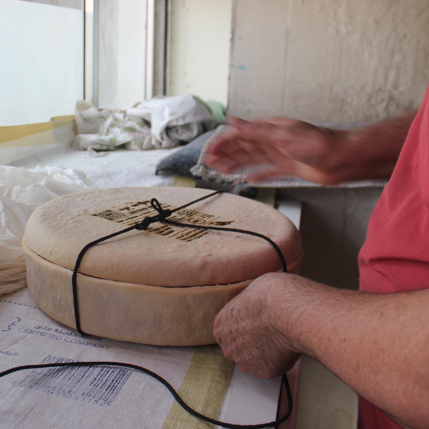 Beyond Bread – Prototypes for Humanity