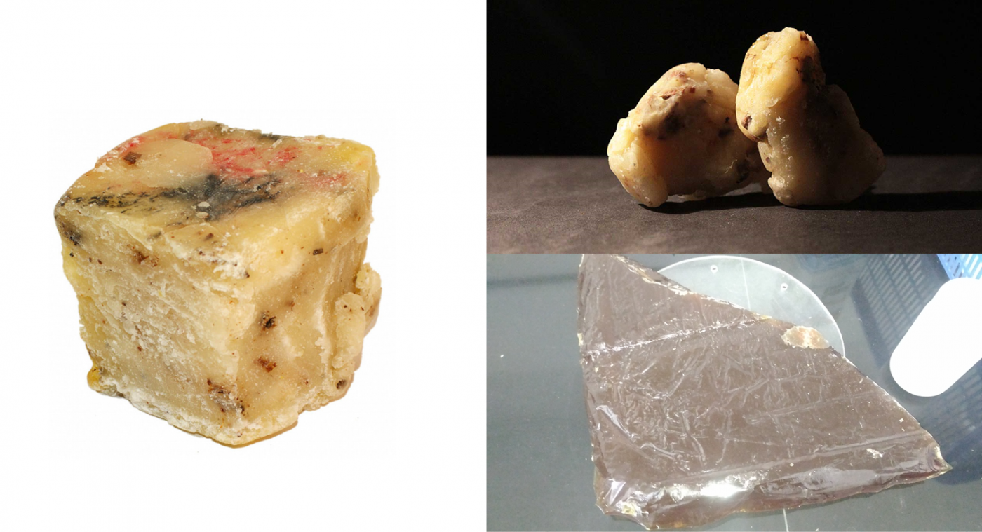 Pili Seal – Prototypes for Humanity