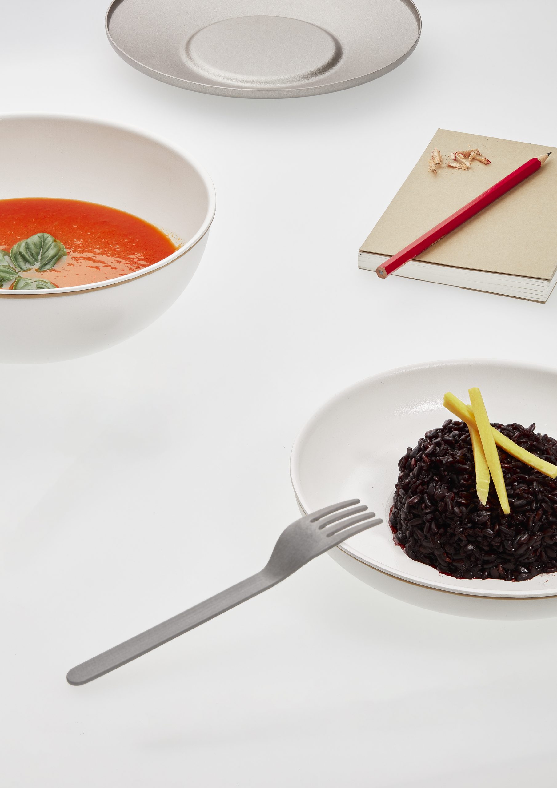 t-Plates – Prototypes for Humanity