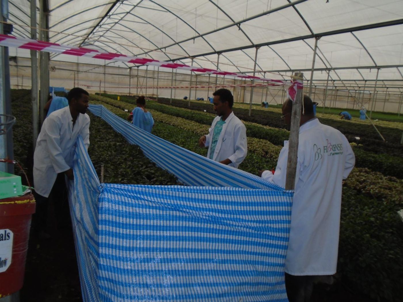 Agro-Safe – Prototypes for Humanity