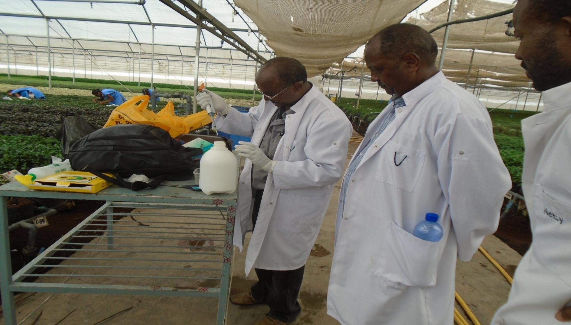 Agro-Safe – Prototypes for Humanity