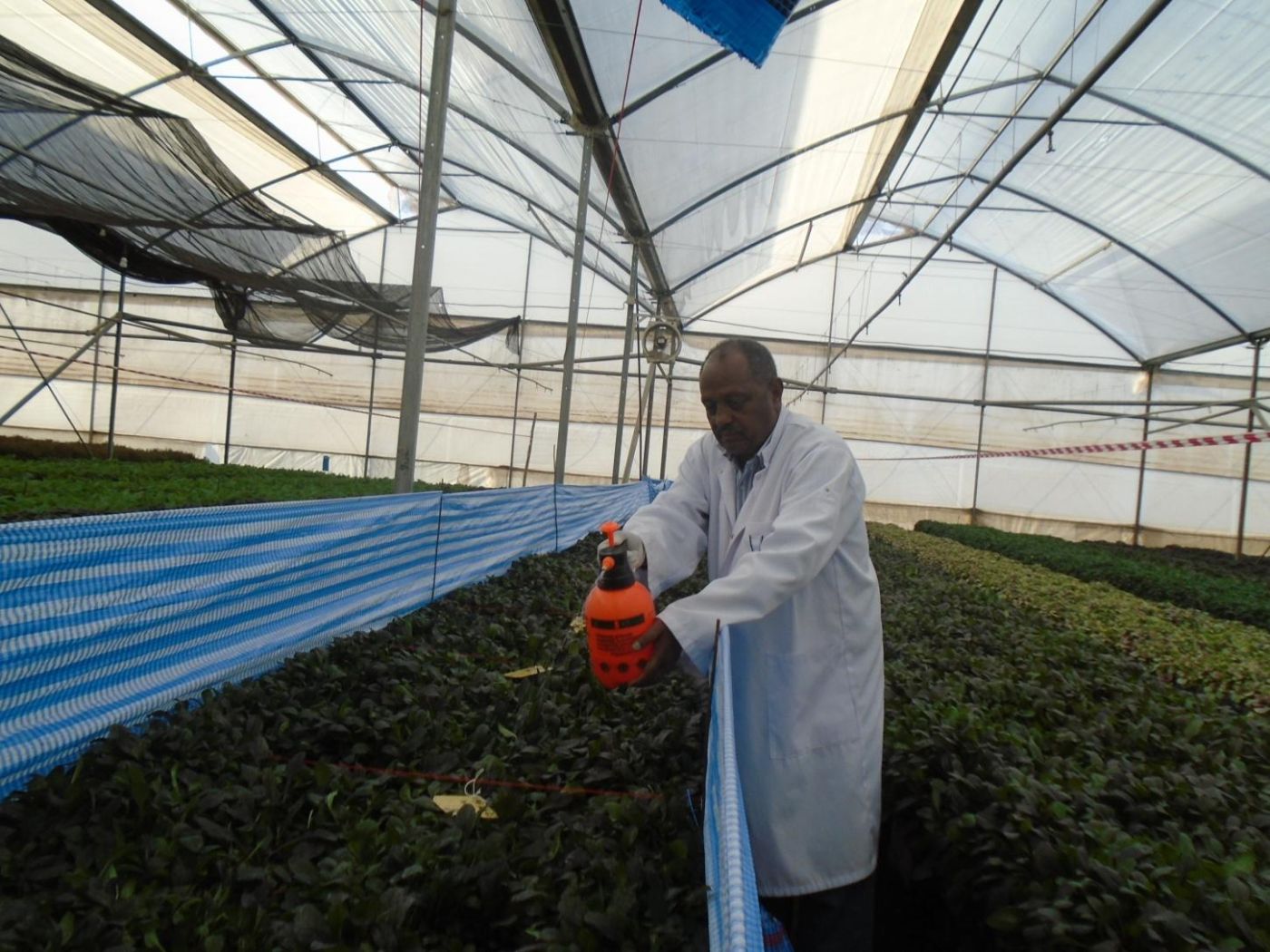 Agro-Safe – Prototypes for Humanity