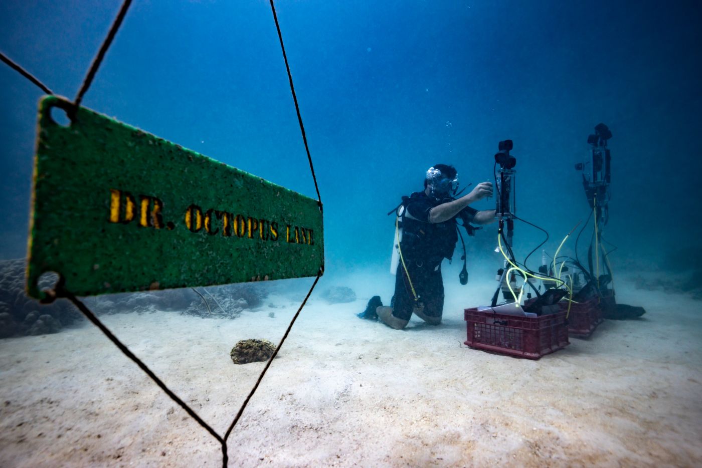 Coral Reef Revival – Prototypes for Humanity