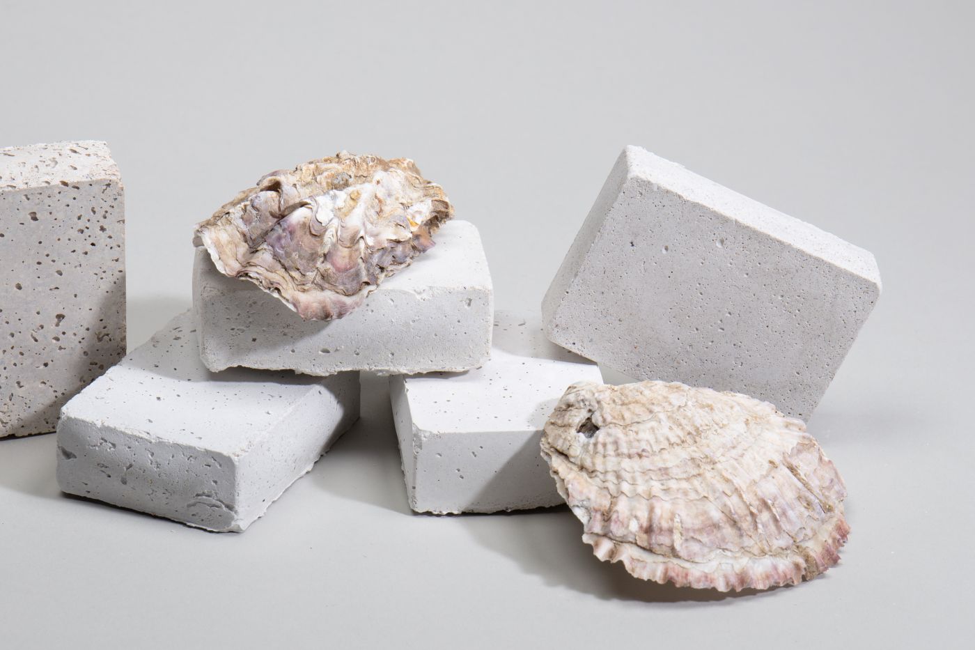 Resting Reef – Prototypes for Humanity