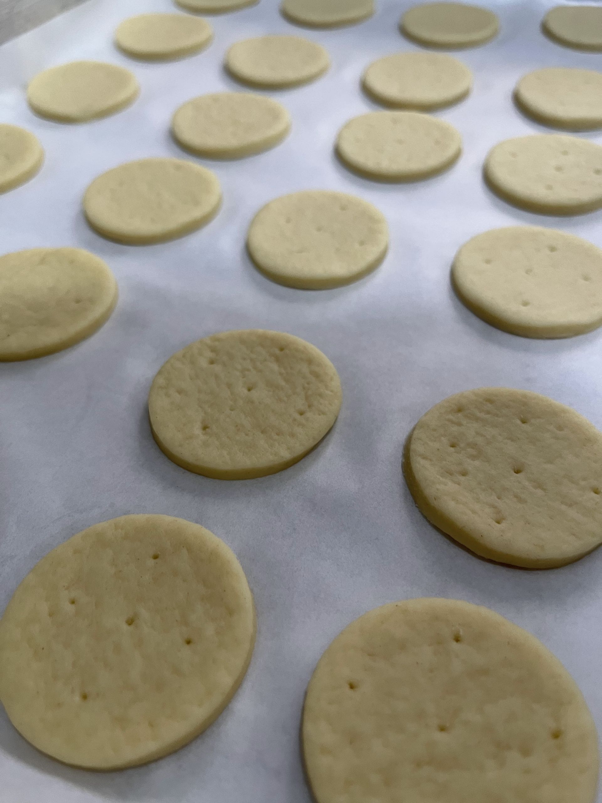 Bioactive Peptides Cookies – Prototypes for Humanity