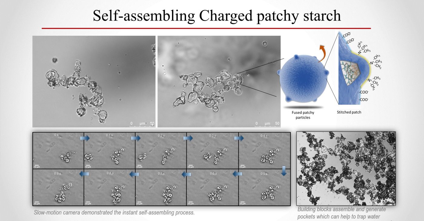 Novel starch modification – Prototypes for Humanity