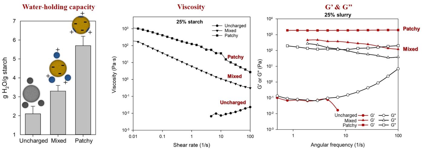 Novel starch modification – Prototypes for Humanity