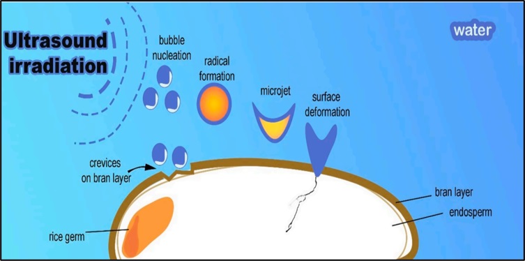 Fortified Rice – Prototypes for Humanity