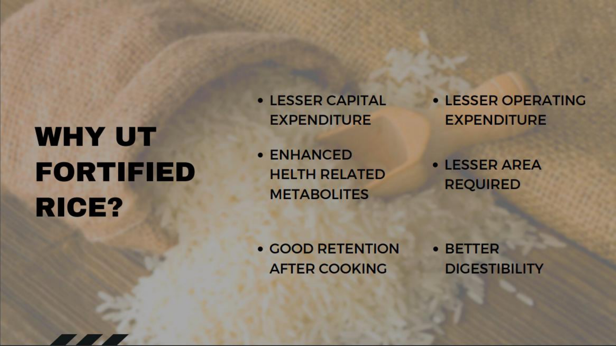 Fortified Rice – Prototypes for Humanity