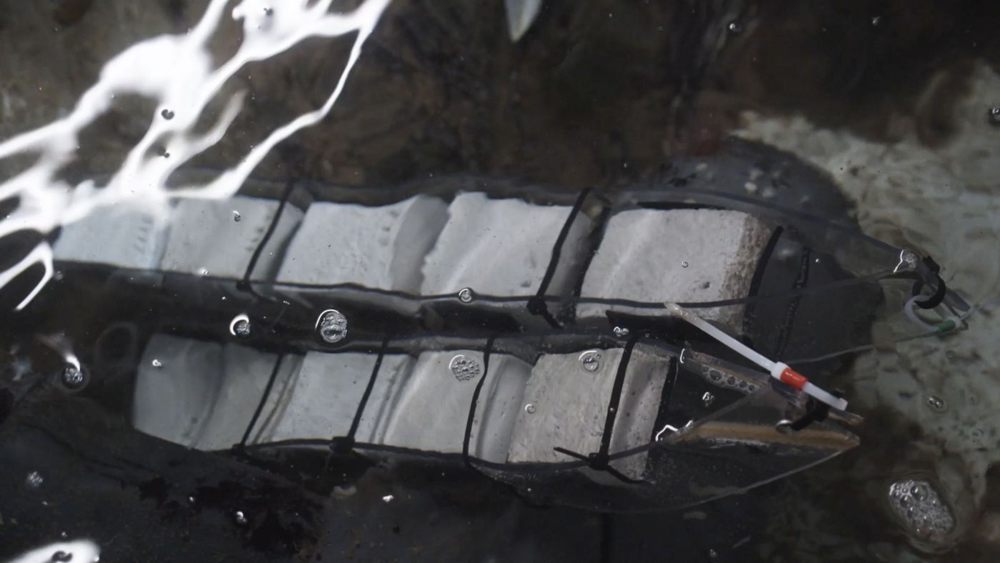 Resting Reef – Prototypes for Humanity