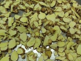 African Ginger Research – Prototypes for Humanity