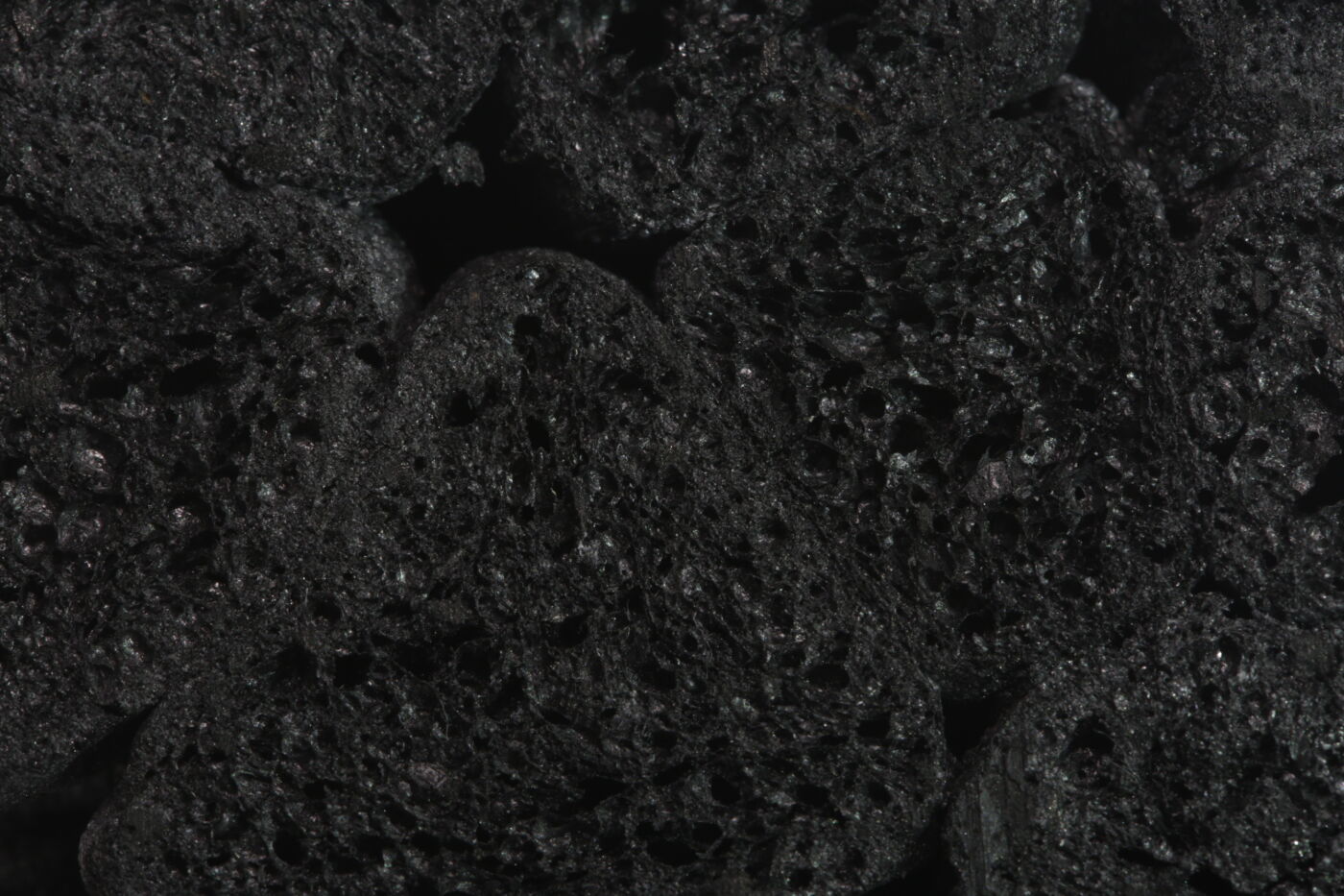 Carbon Cell – Prototypes for Humanity