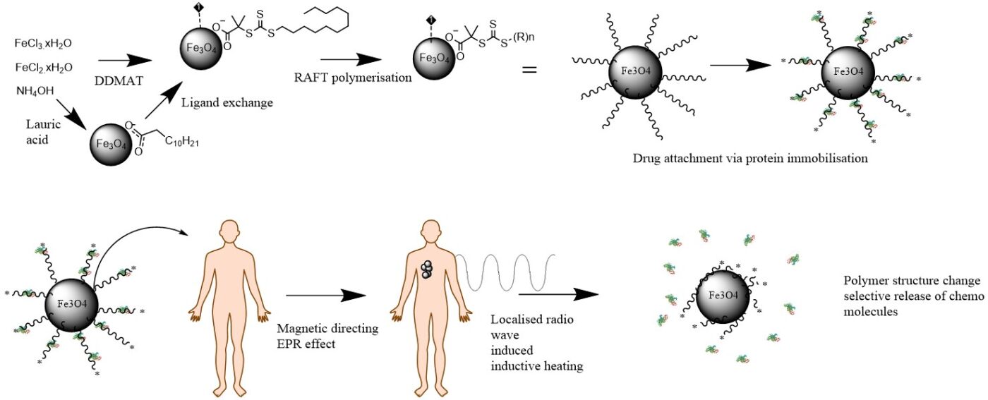 Radio Wave Activated Chemotherapy – Prototypes for Humanity