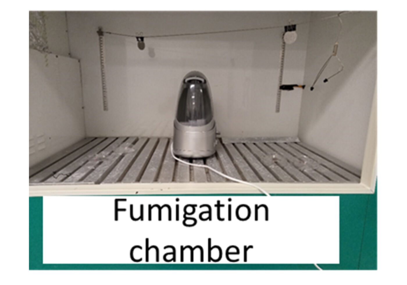 Disinfectants from Waste – Prototypes for Humanity