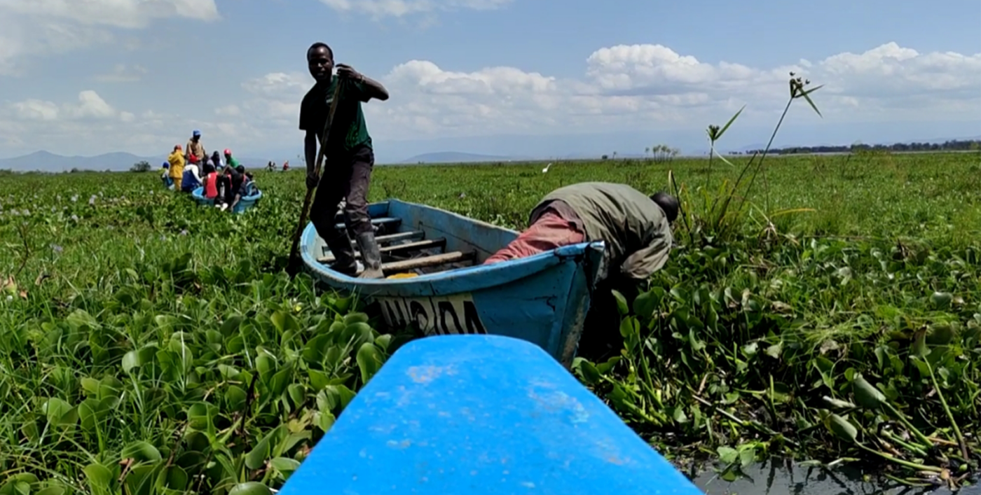 HyaPak – Prototypes for Humanity