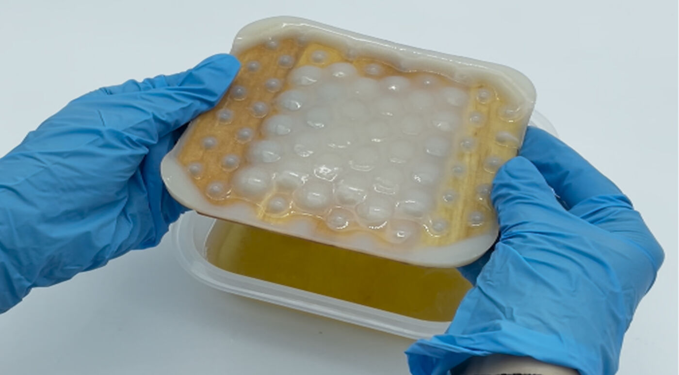 Healing Materialities – Prototypes for Humanity