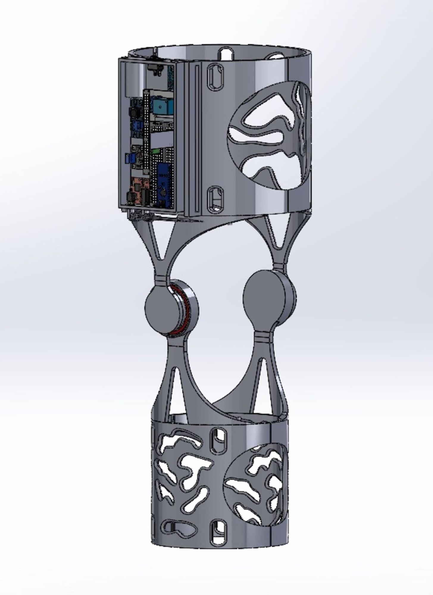 Rehabilitation Smart Orthosis – Prototypes for Humanity