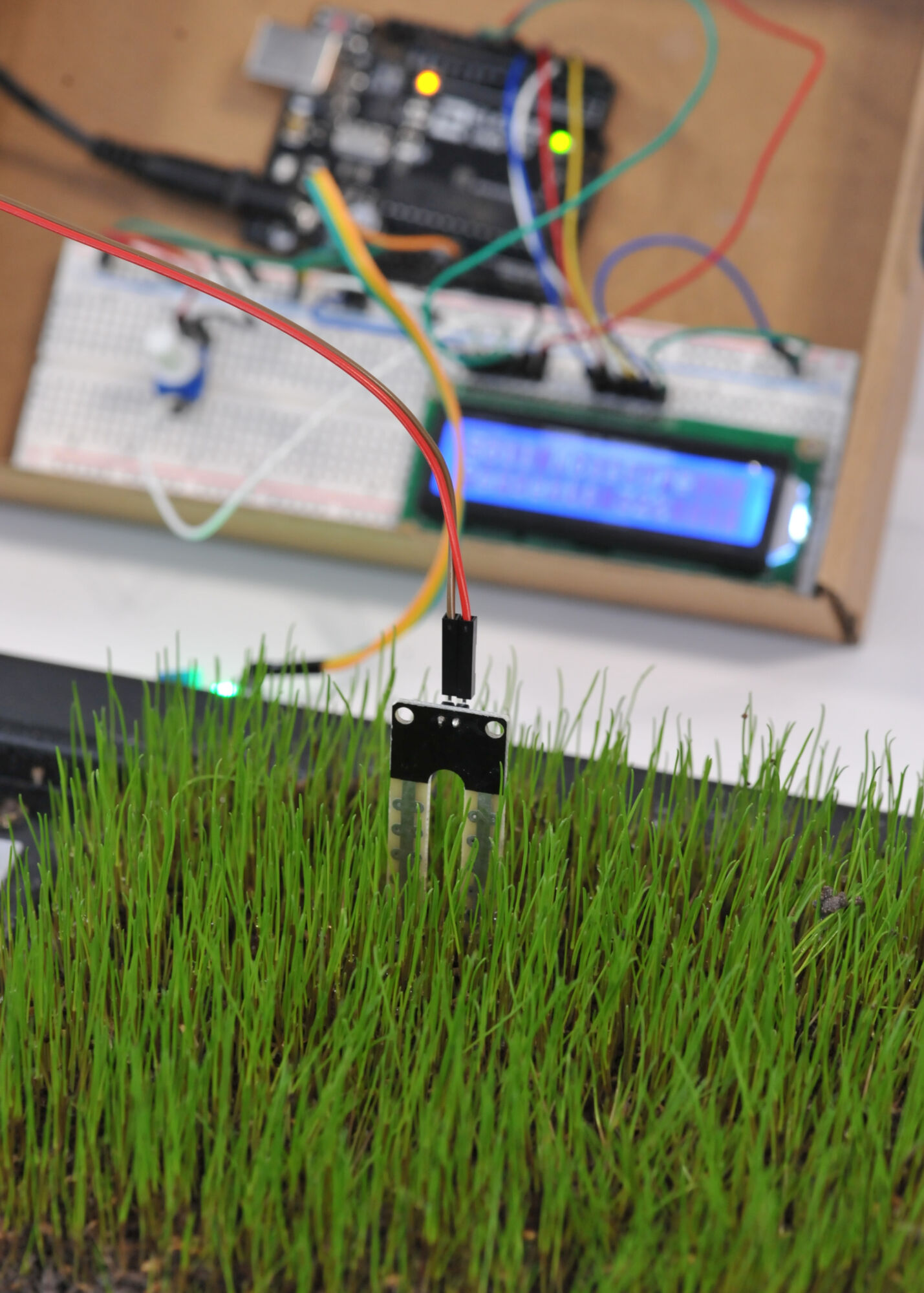 Root Link – Prototypes for Humanity