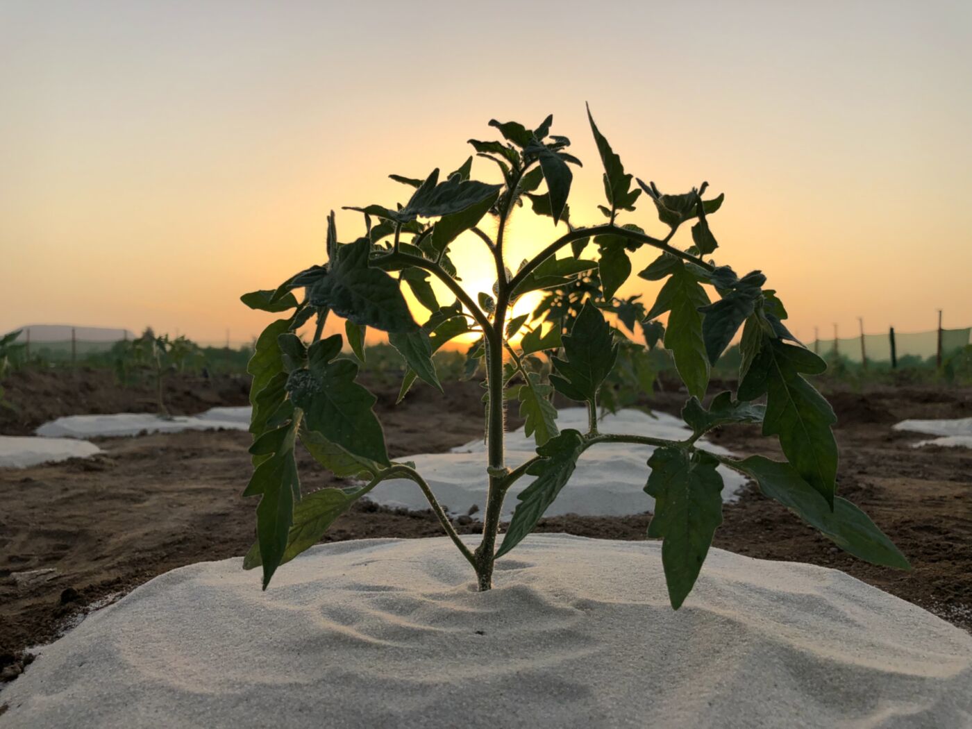 Terraxy - Prototypes for Humanity