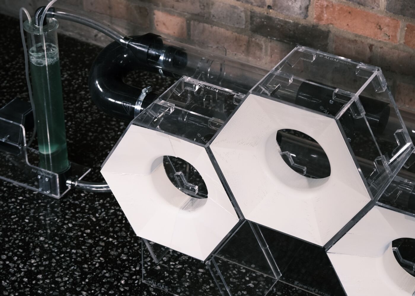 AlgaeWave – Prototypes for Humanity