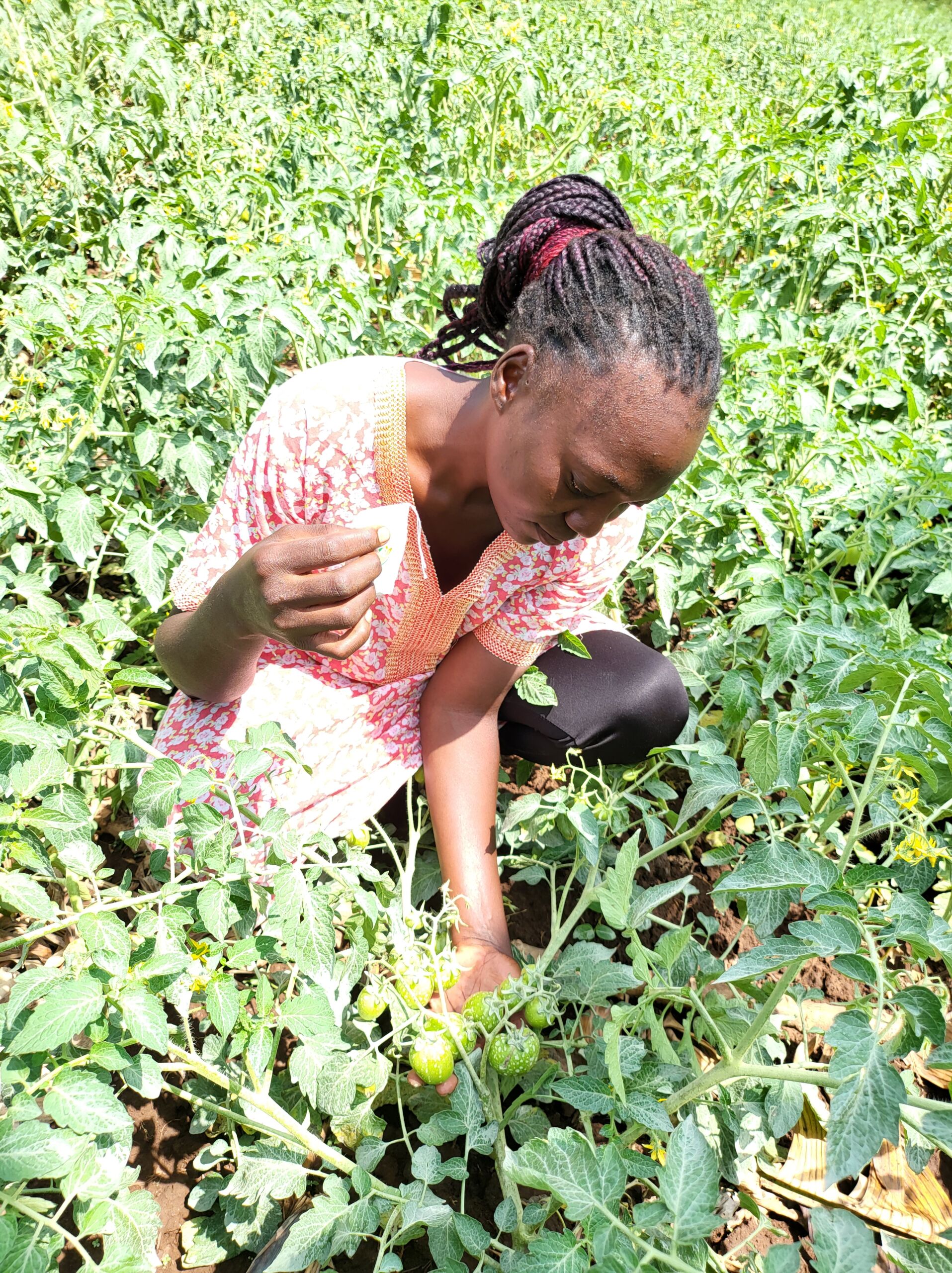 Freza Nanotech – Prototypes for Humanity