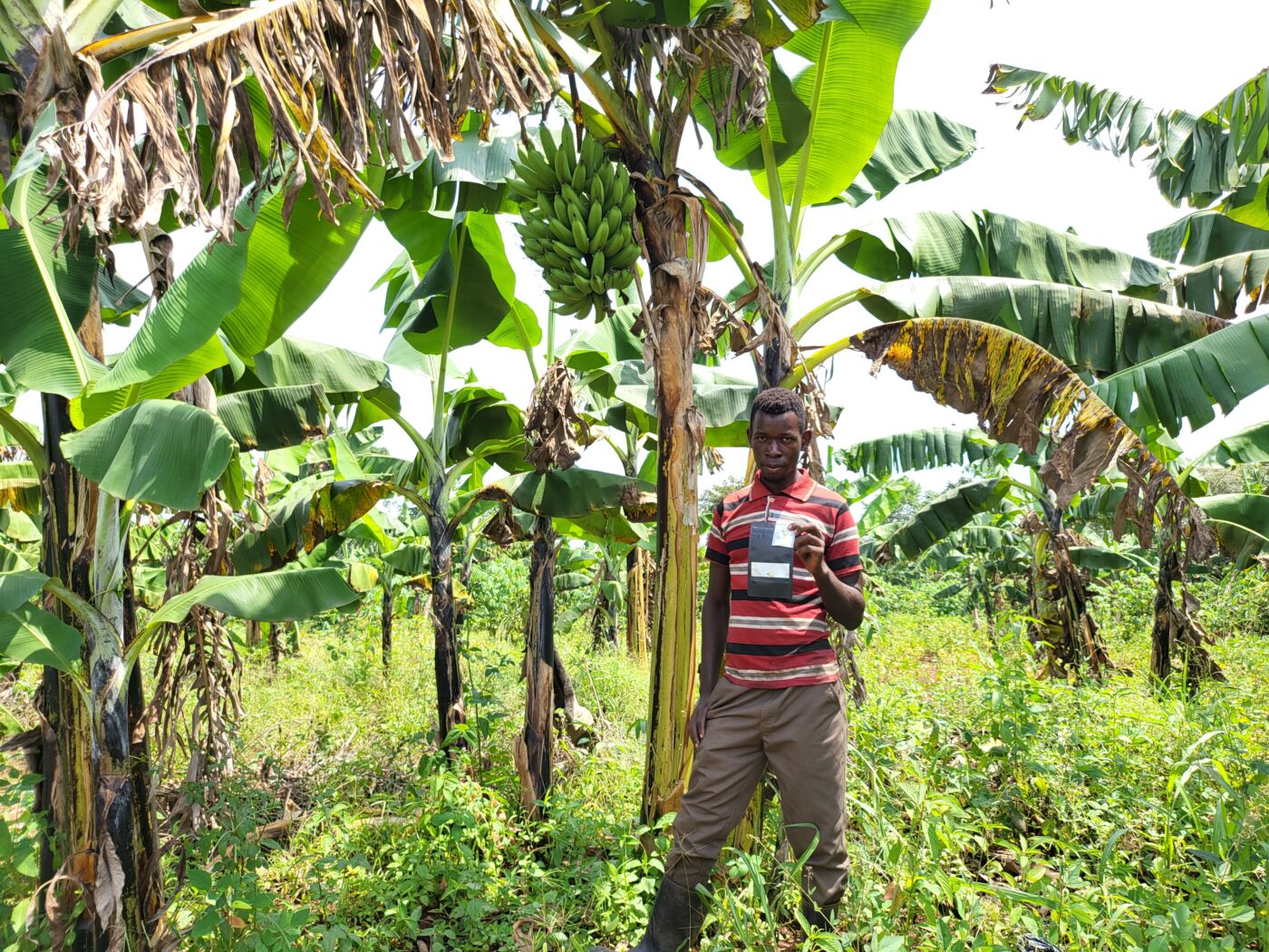 Freza Nanotech – Prototypes for Humanity