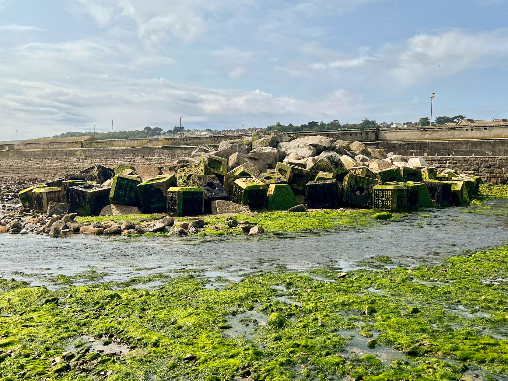 First Aid Concrete – Prototypes for Humanity