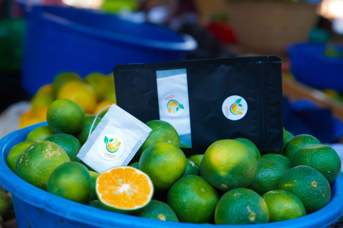 Freza Nanotech – Prototypes for Humanity