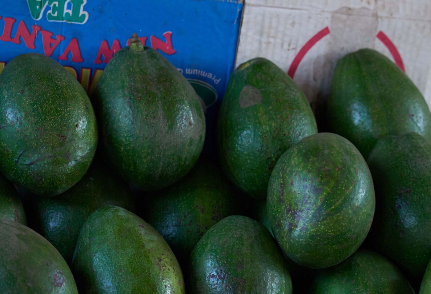 Freza Nanotech – Prototypes for Humanity