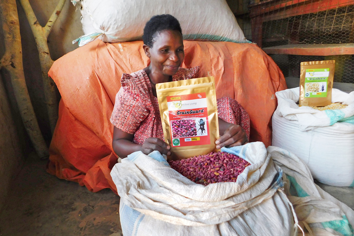 GrainGuard Bio-Insecticide – Prototypes for Humanity