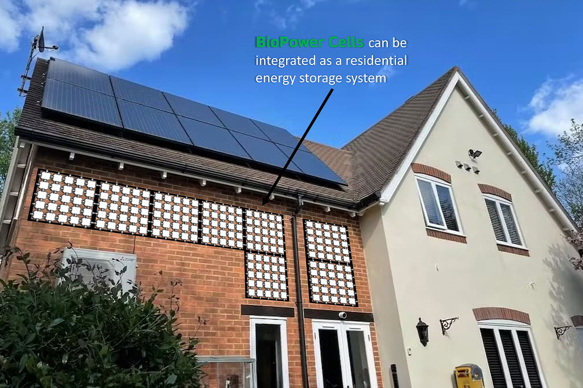 BioPower Cells – Prototypes for Humanity