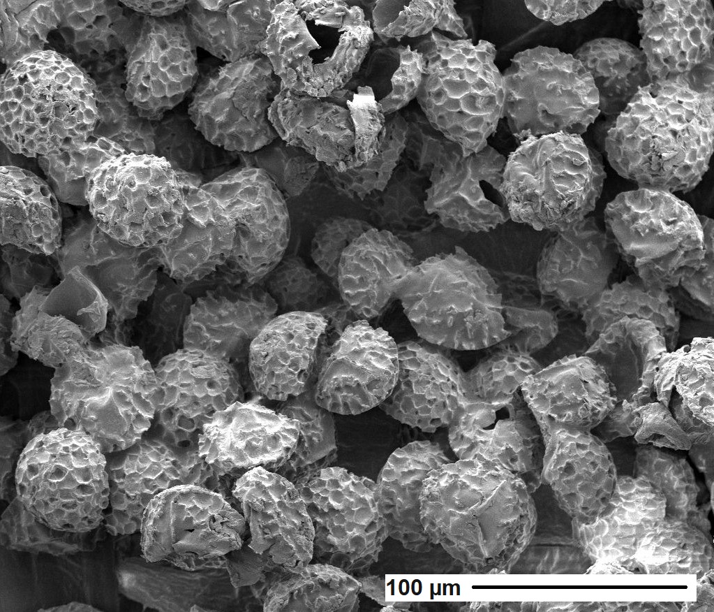 EcoBarrier Coatings – Prototypes for Humanity