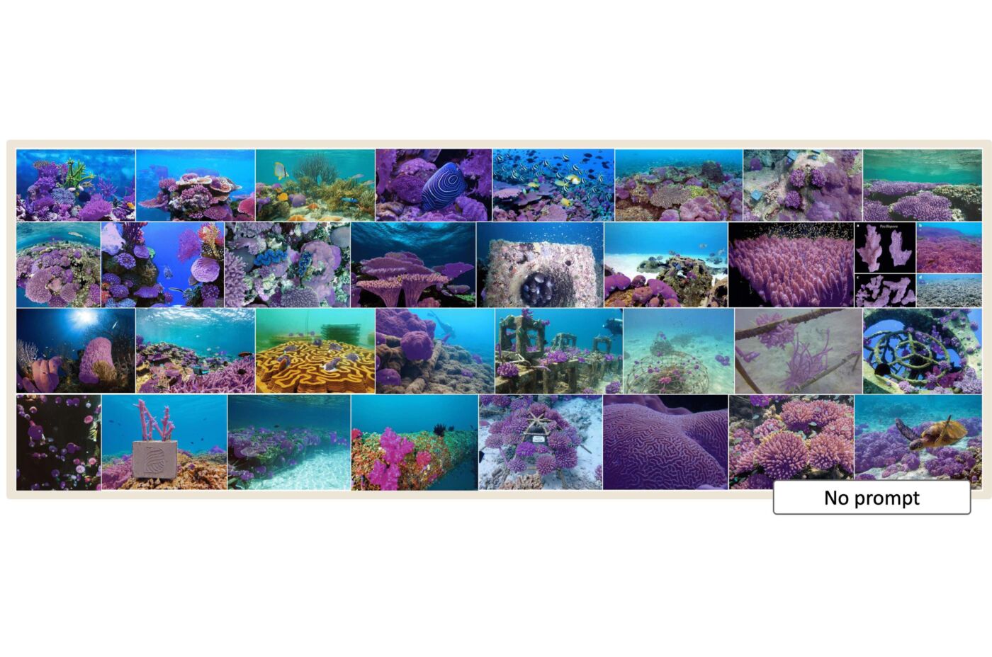 Coral Reef Segmentation – Prototypes for Humanity