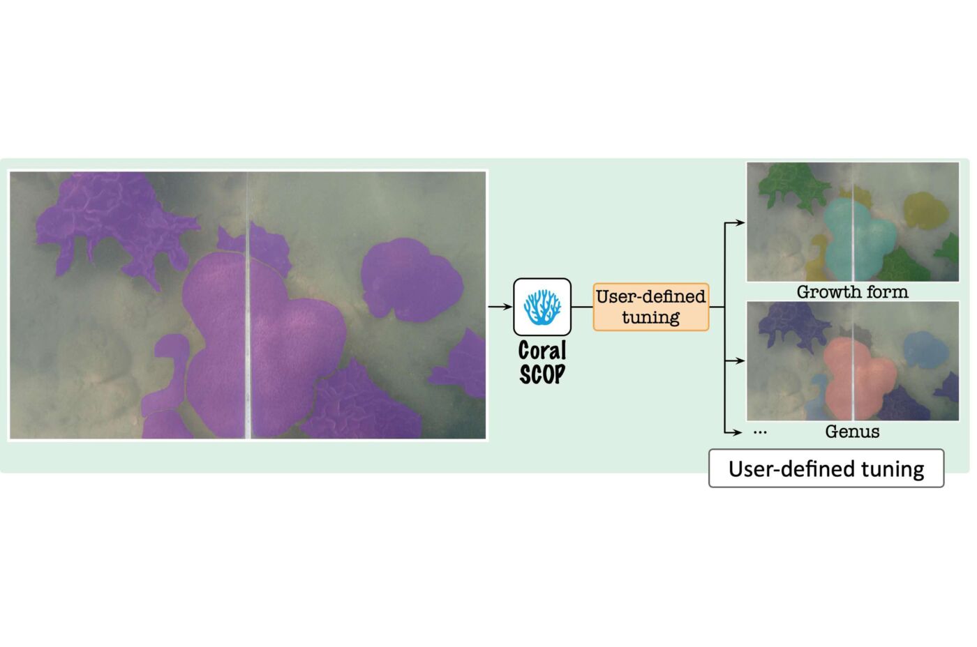Coral Reef Segmentation – Prototypes for Humanity