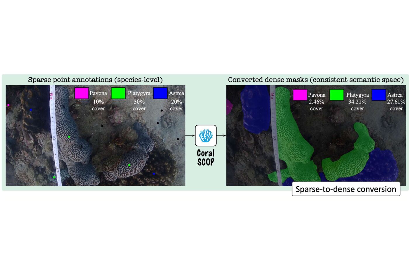 Coral Reef Segmentation – Prototypes for Humanity
