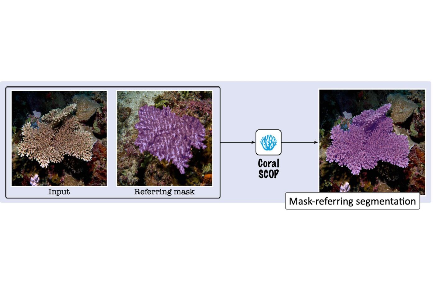 Coral Reef Segmentation – Prototypes for Humanity