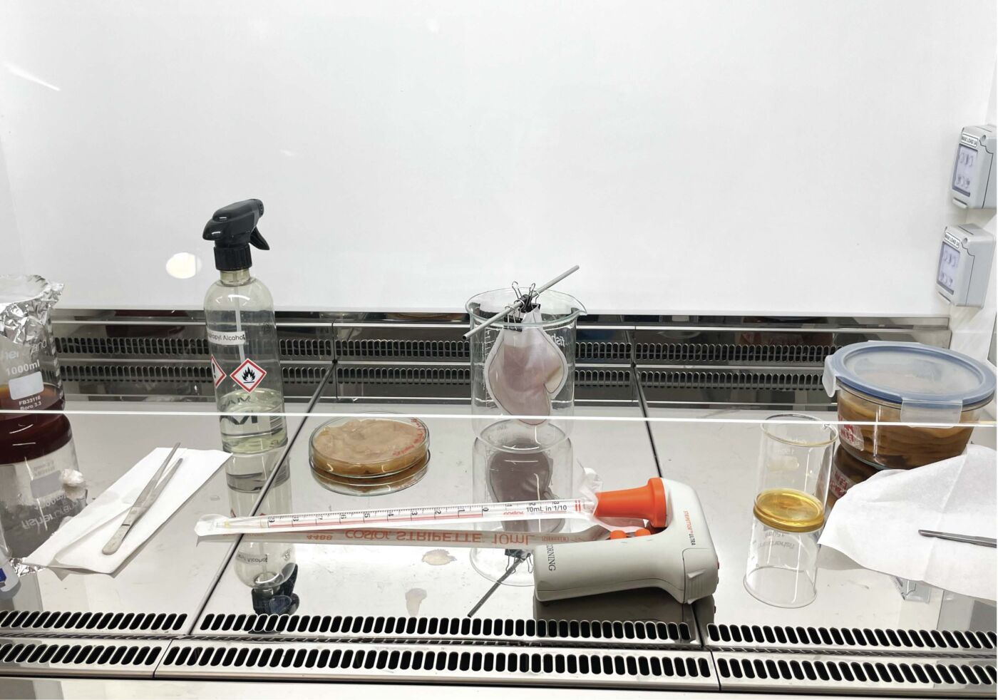 Hydra Bioreactor – Prototypes for Humanity