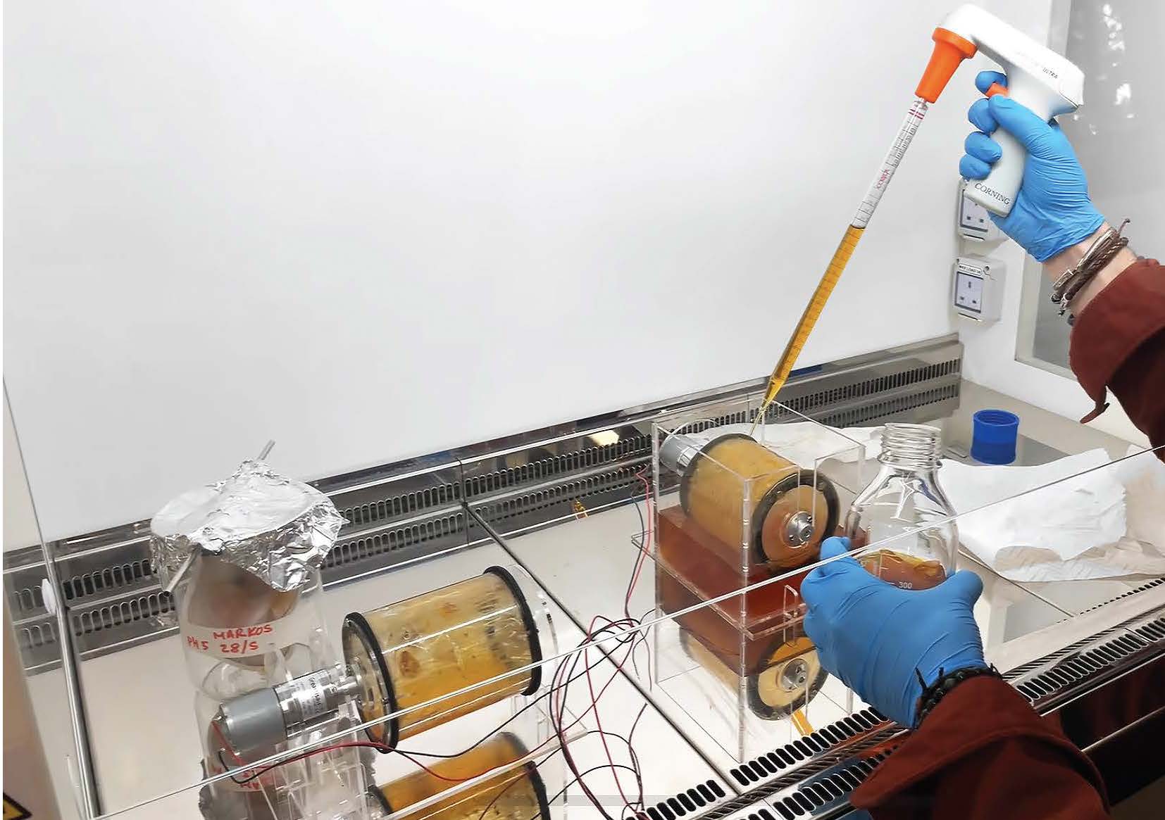 Hydra Bioreactor - Prototypes for Humanity