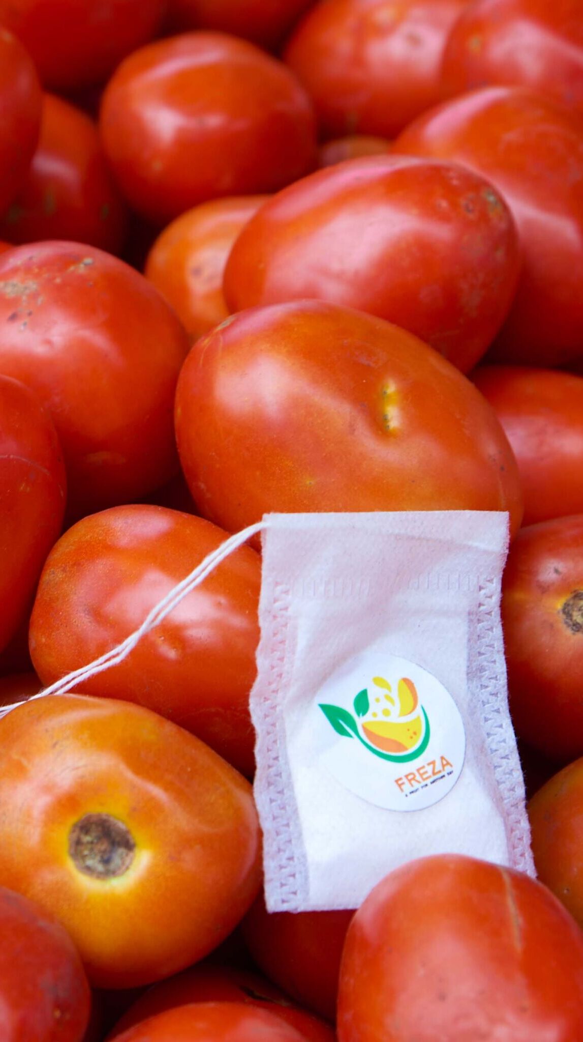 Freza Nanotech – Prototypes for Humanity