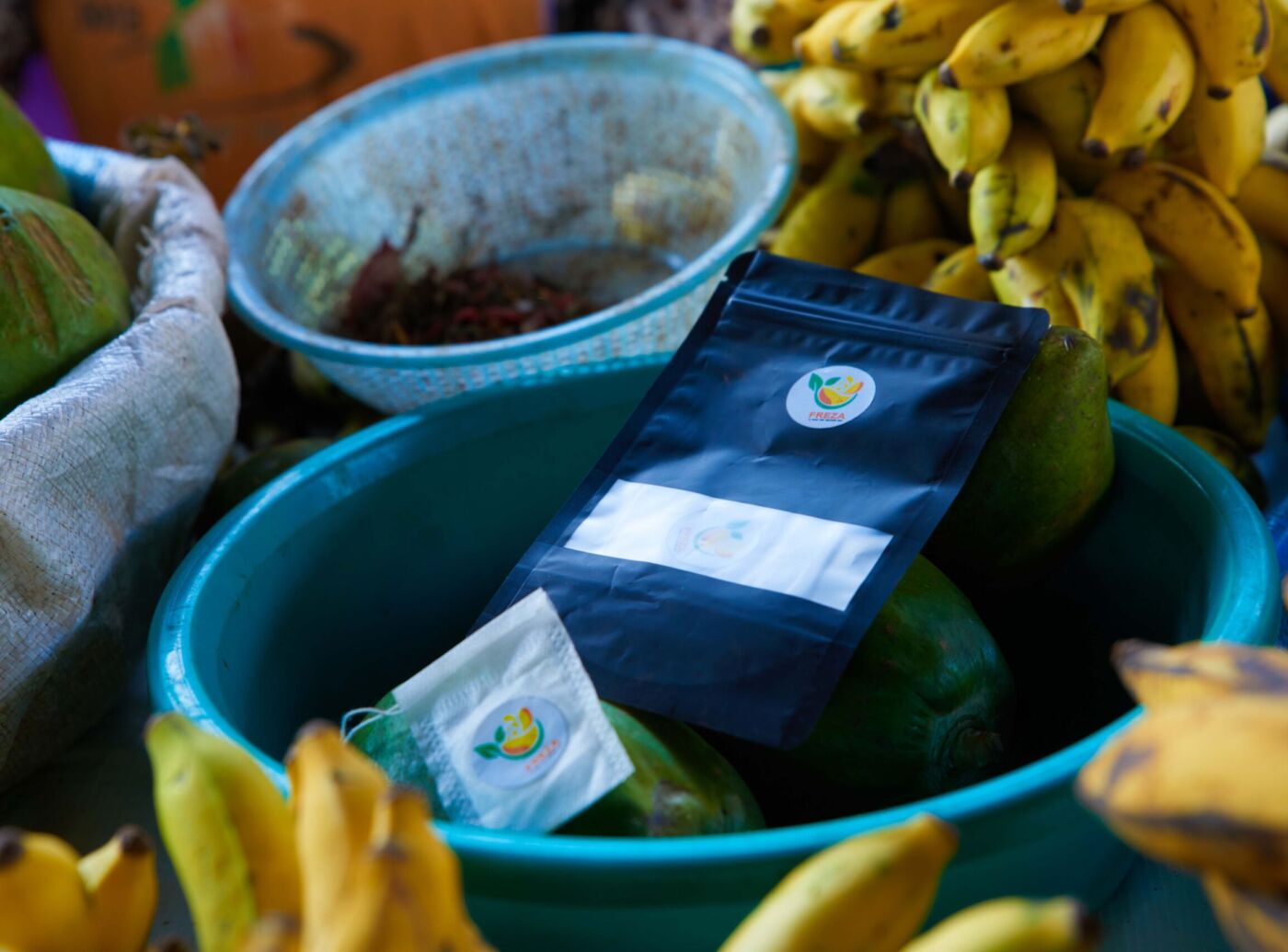 Freza Nanotech – Prototypes for Humanity