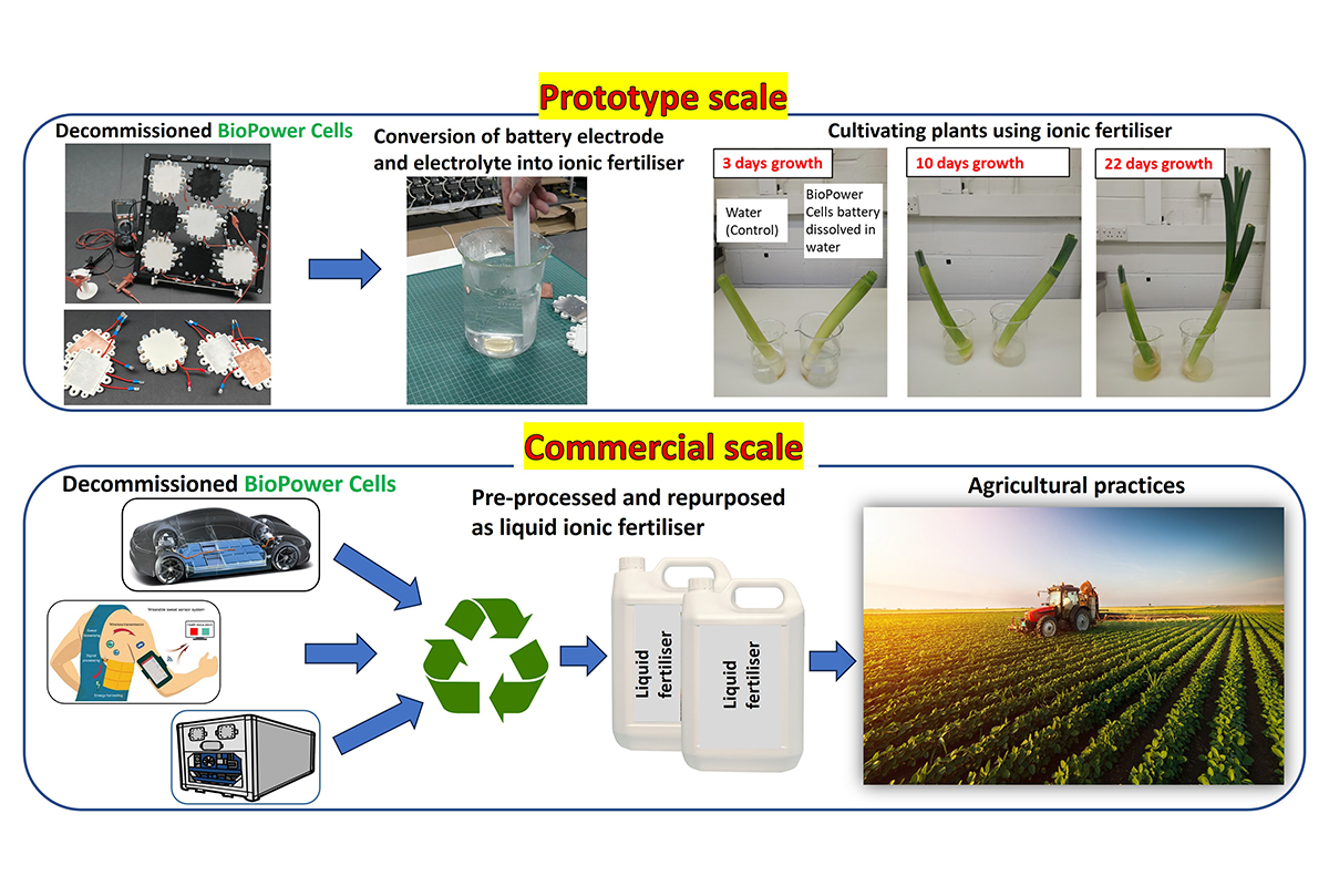 BioPower Cells – Prototypes for Humanity