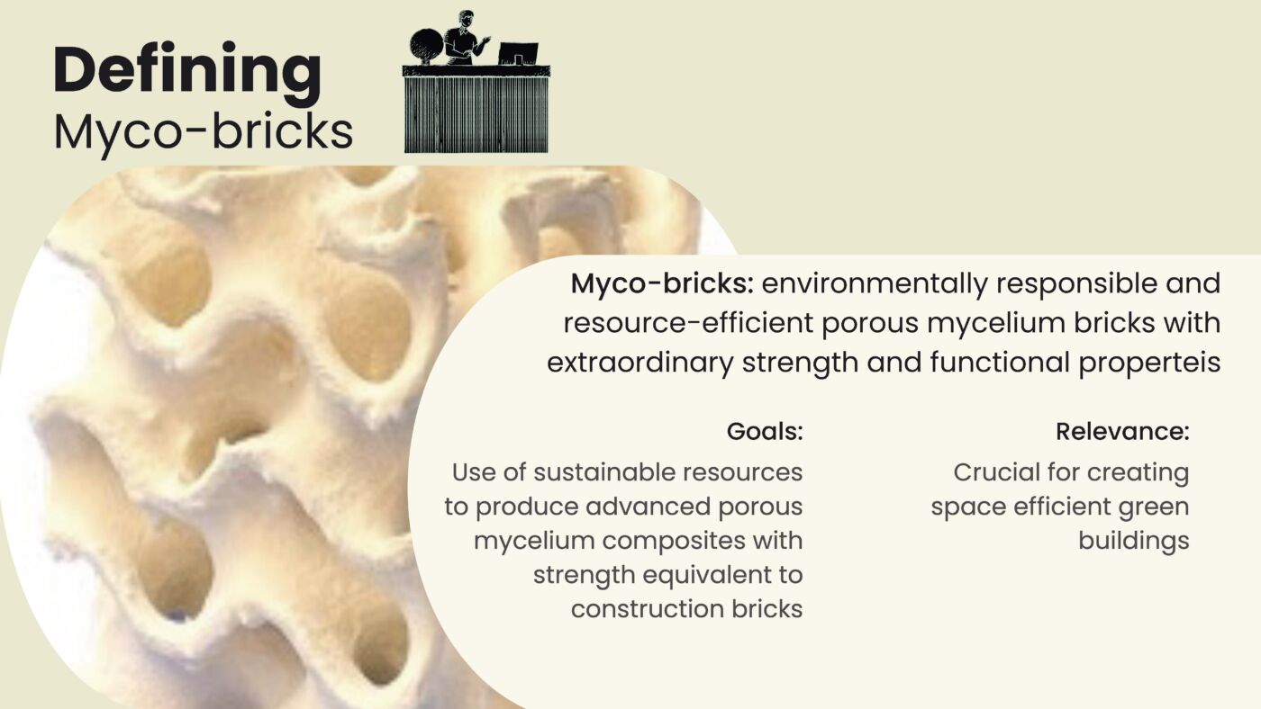 Myco-bricks: Sustainable Urban Development – Prototypes for Humanity