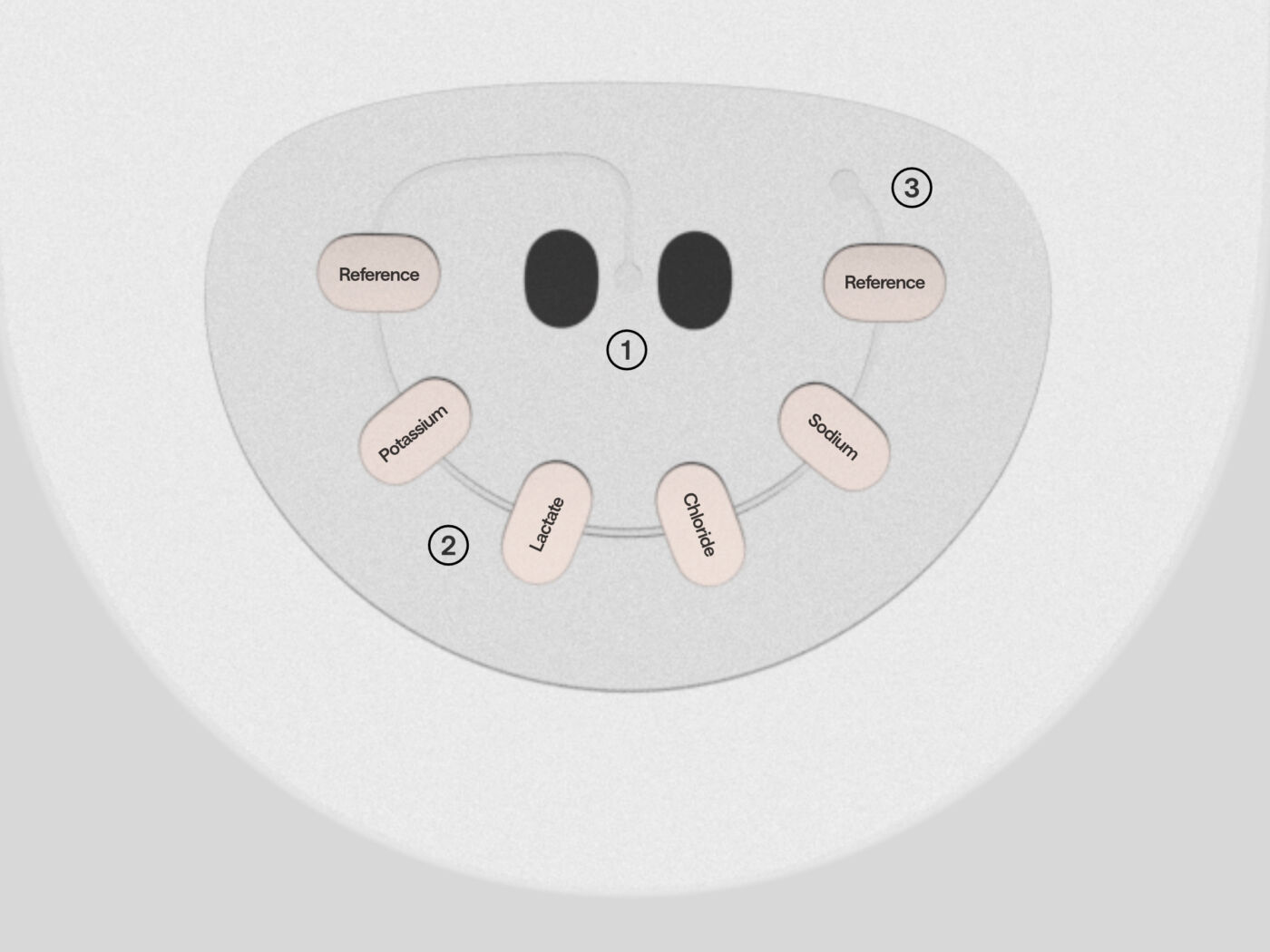 Hydration Check Patch – Prototypes for Humanity