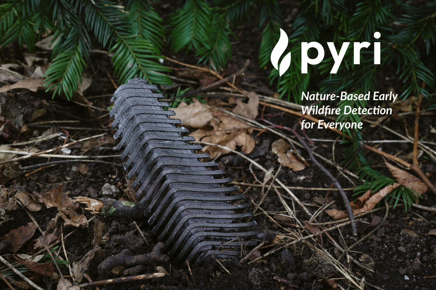 Pyri – Prototypes for Humanity