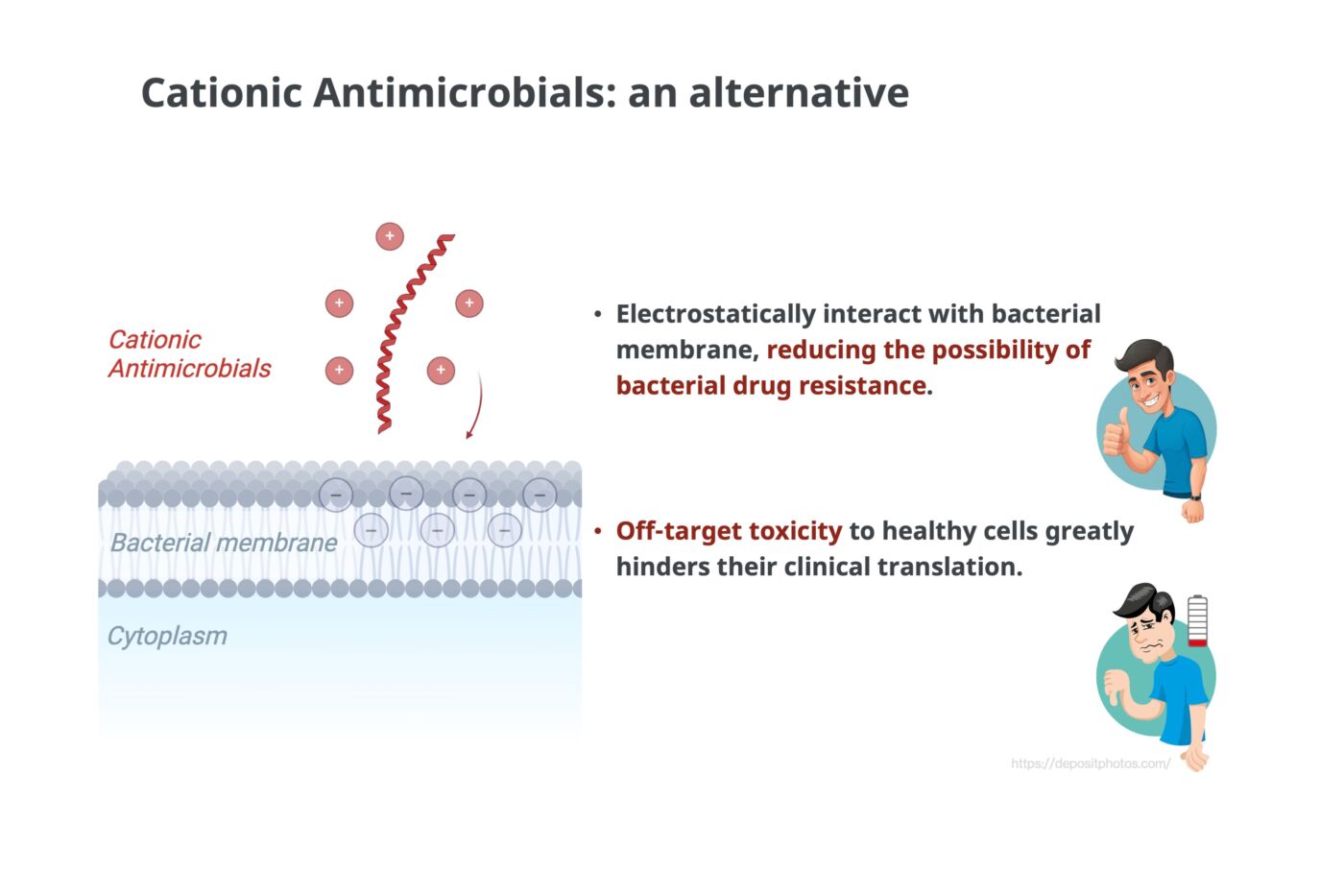 AmCURE Antibiotic – Prototypes for Humanity